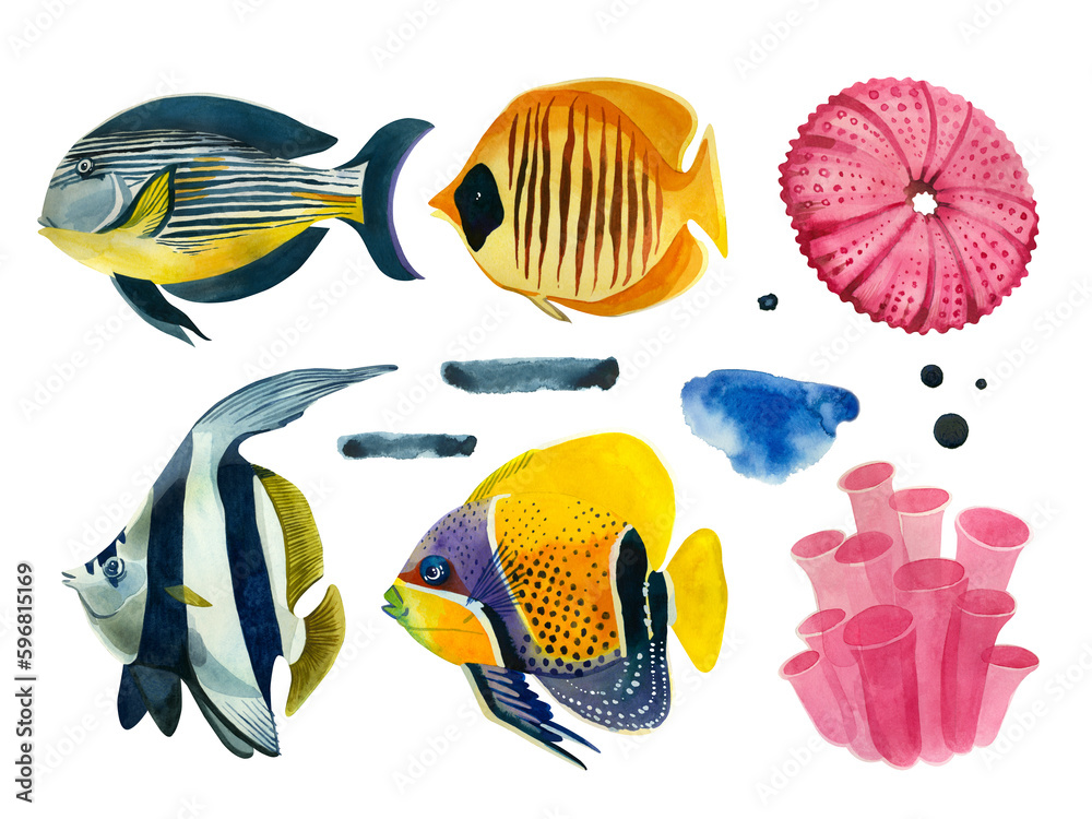 Big set of watercolor elements. exotic coral fishes of bright colors ...