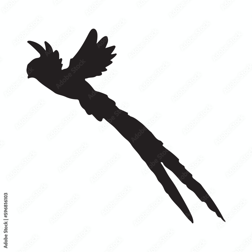 Quetzal silhouettes and icons. Black flat color simple elegant Quetzal ...