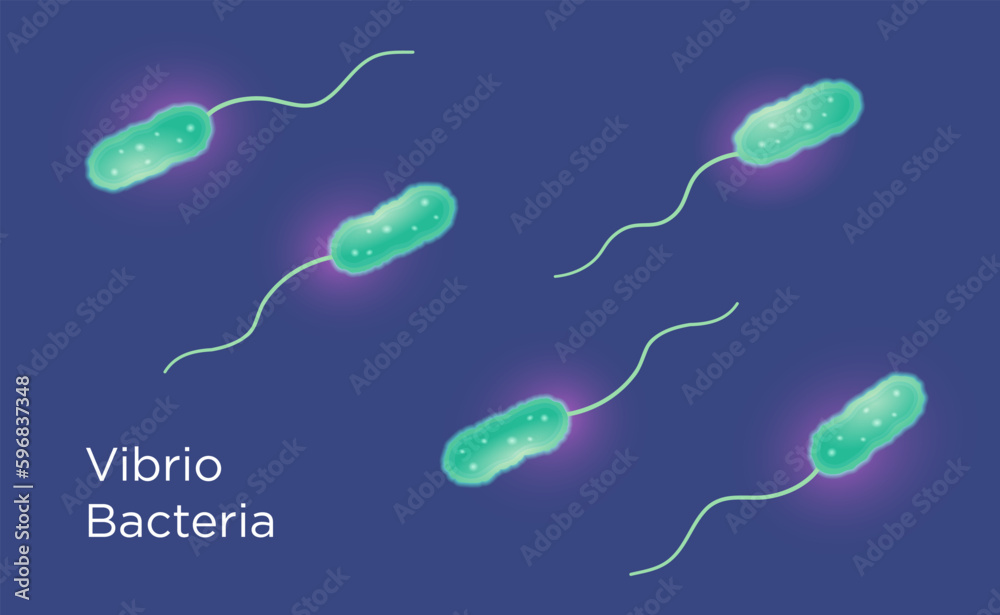Vibrio bacteria close-up set in cartoon style on blue background ...