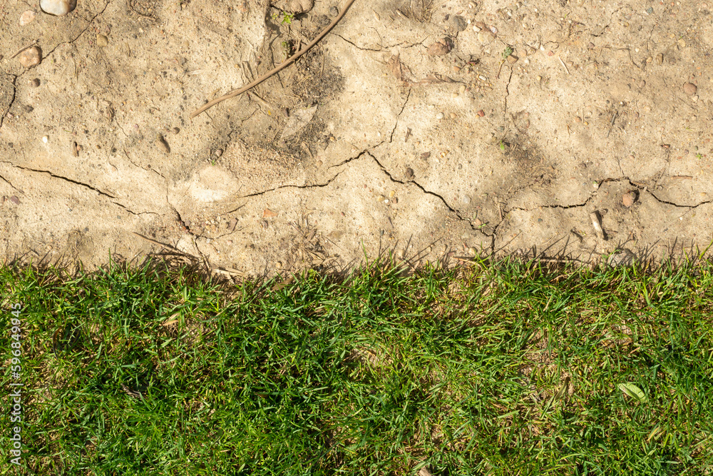 two textures in one photo. grass texture and sand texture. background ...
