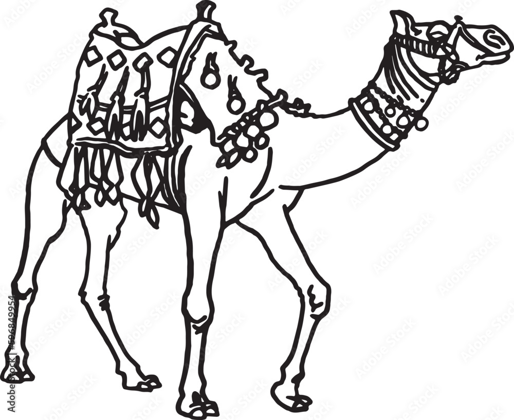 Graphical sketch of camel for coloring book,logo,design , traditional ...