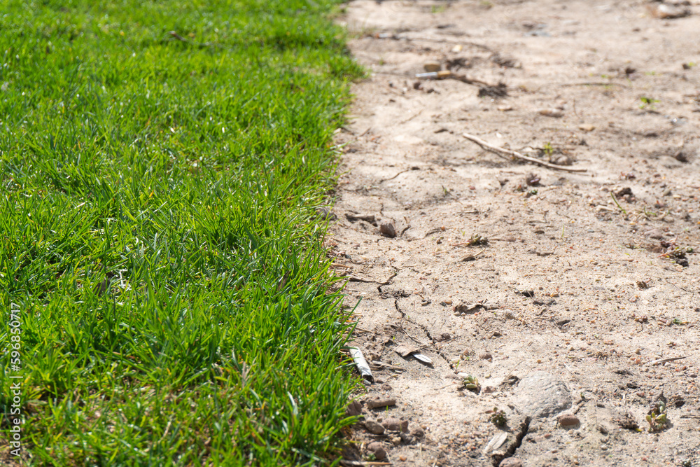 two textures in one photo. grass texture and sand texture. background ...