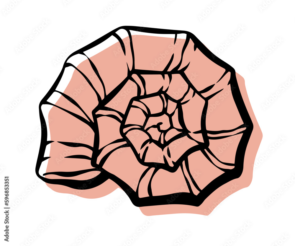 Shell with an outline in a trendy minimal style. Vector illustration of ...