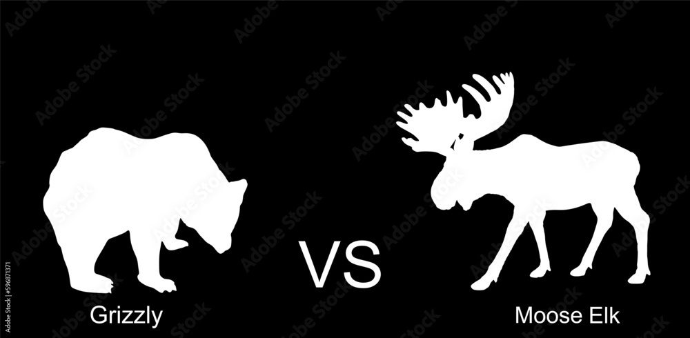 Moose against bear vector silhouette illustration isolated on black ...
