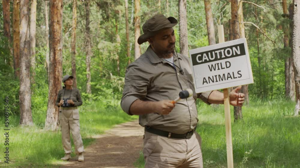 Vidéo Stock Medium wide shot of multiethnic forest officer in khaki ...
