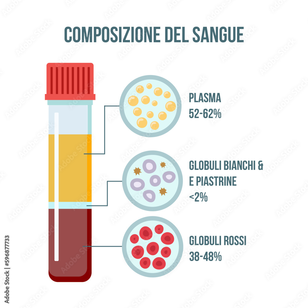 Vetor de Composizione del sangue. The Composition of Blood poster. Red ...