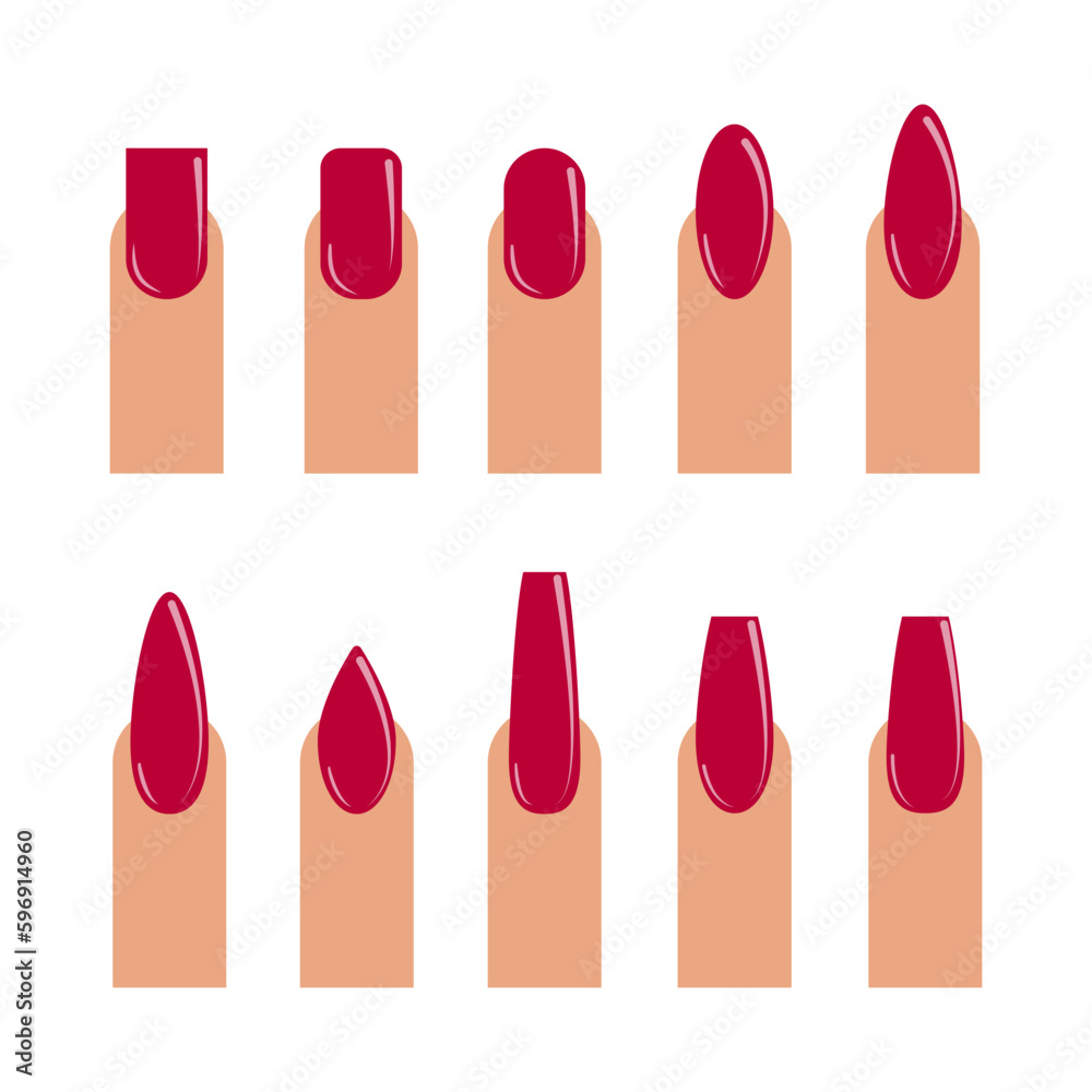 Set of different types of fingernail shapes isolated on white ...