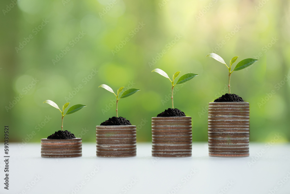 Business Growth Plant