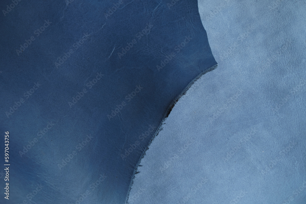 variety of top-notch genuine leather examples, accentuating the ...