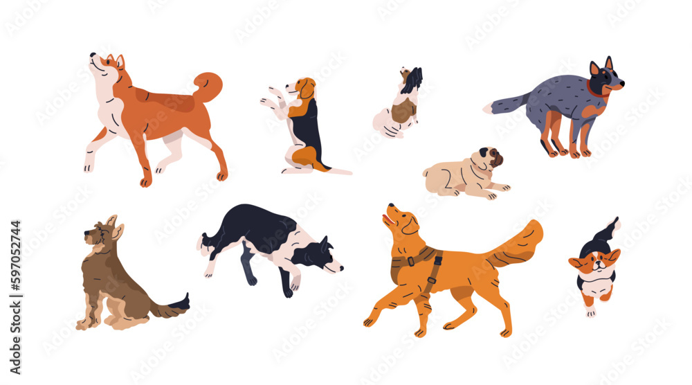 Dogs in motion set. Different canine breeds. Obedient doggies, puppies ...