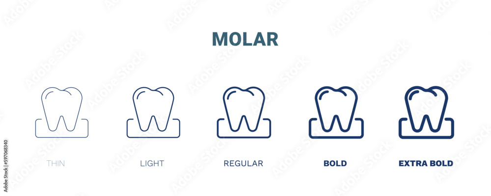 molar icon. Thin, light, regular, bold, black molar icon set from ...