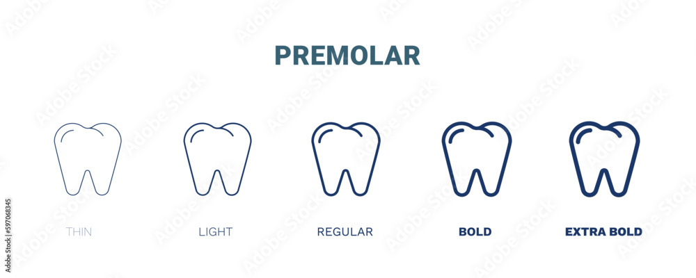 premolar icon. Thin, light, regular, bold, black premolar icon set from ...