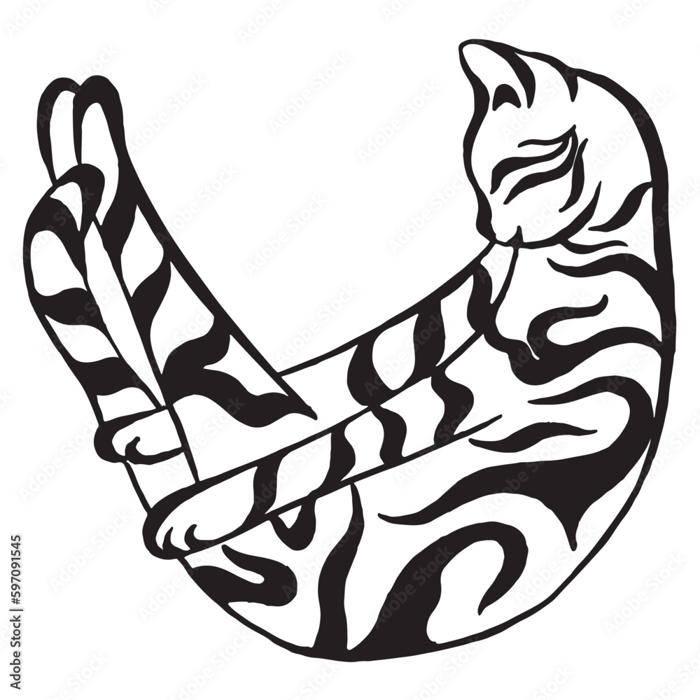 Funny fat striped cat vector illustration isolated on white background ...