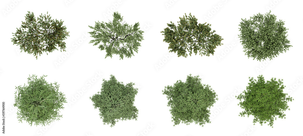 Set of tree on top view isolated on transparent background, 2d plants ...