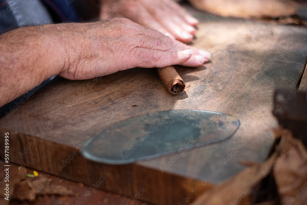 Process of making traditional cigars from tobacco leaves with your ...