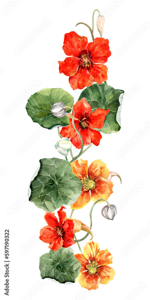 Summer vertical flower arrangement of flowering plants. Curly garden ...