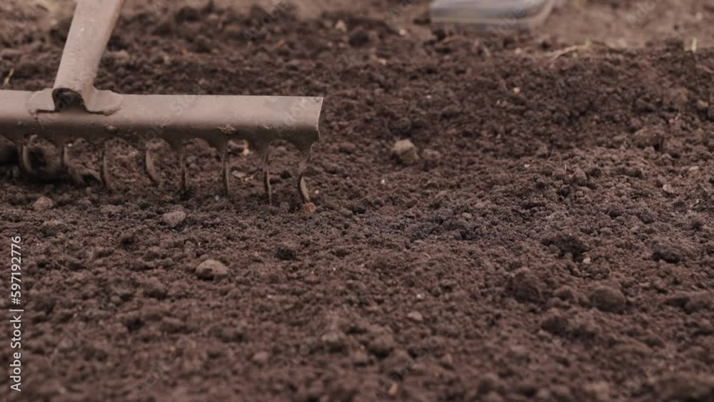 Vídeo do Stock: Worker works with rake in field, cultivating land for ...