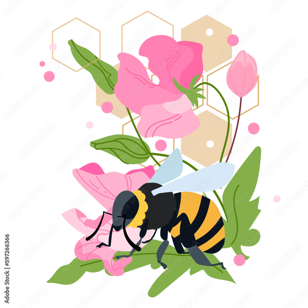 Honey bee with sweet pea flowers and honeycomb vector illustration ...