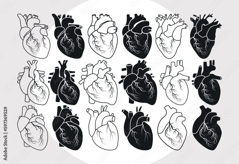 Realistic Heart SVG Bundle, Heart Silhouette, Real Human Heart Svg ...