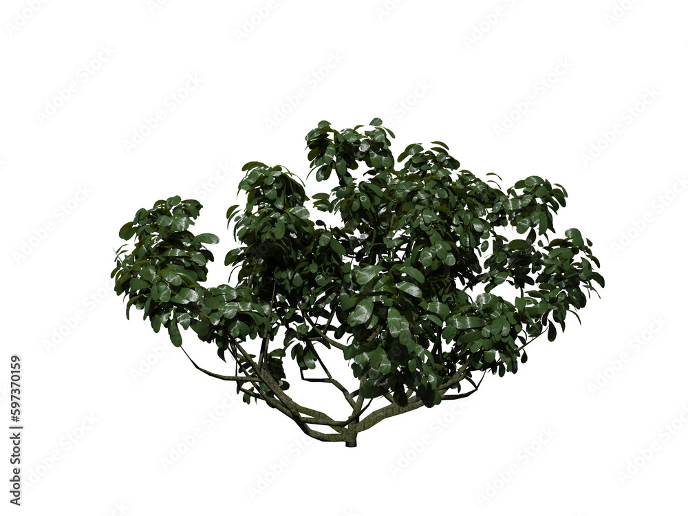 Flower tree png with transparent background Stock Photo | Adobe Stock