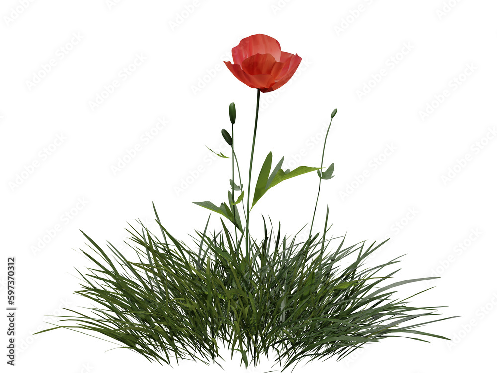 Flower tree png with transparent background Stock Photo | Adobe Stock