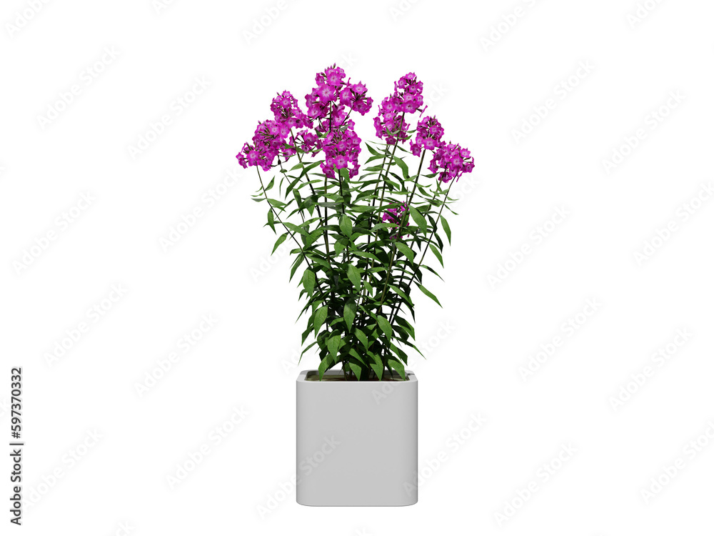 Flower tree png with transparent background Stock Photo | Adobe Stock