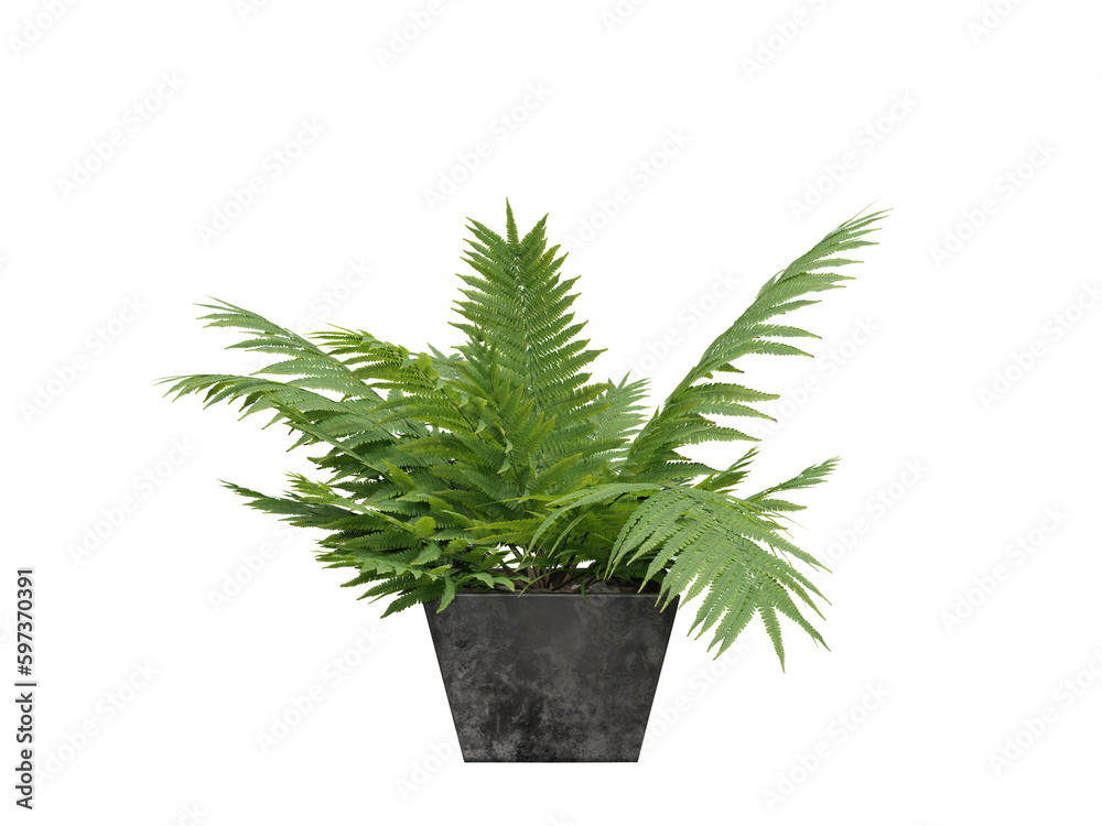 Flower tree png with transparent background Stock Photo | Adobe Stock