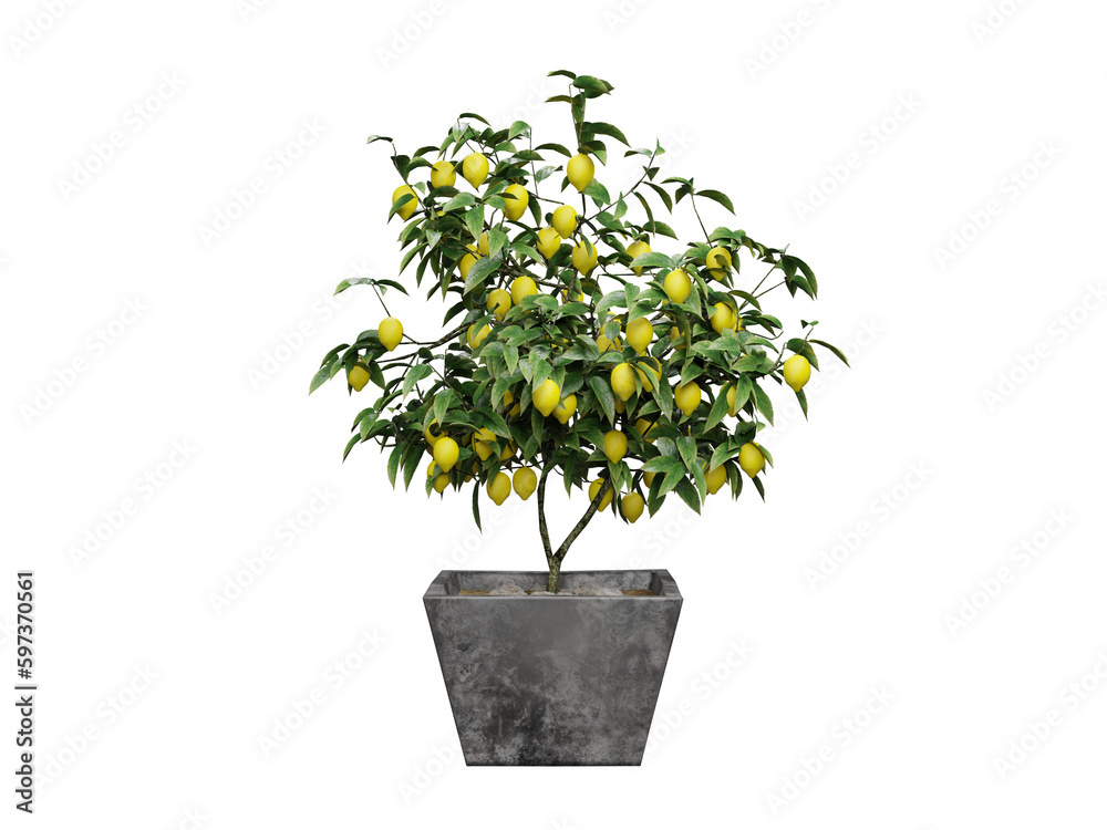 Flower tree png with transparent background Stock Photo | Adobe Stock