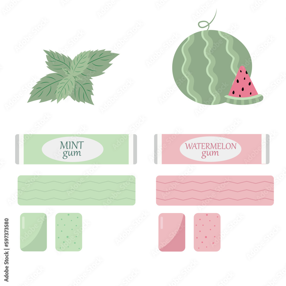 Vector cartoon illustration of sugar free mint gum isolated on white ...