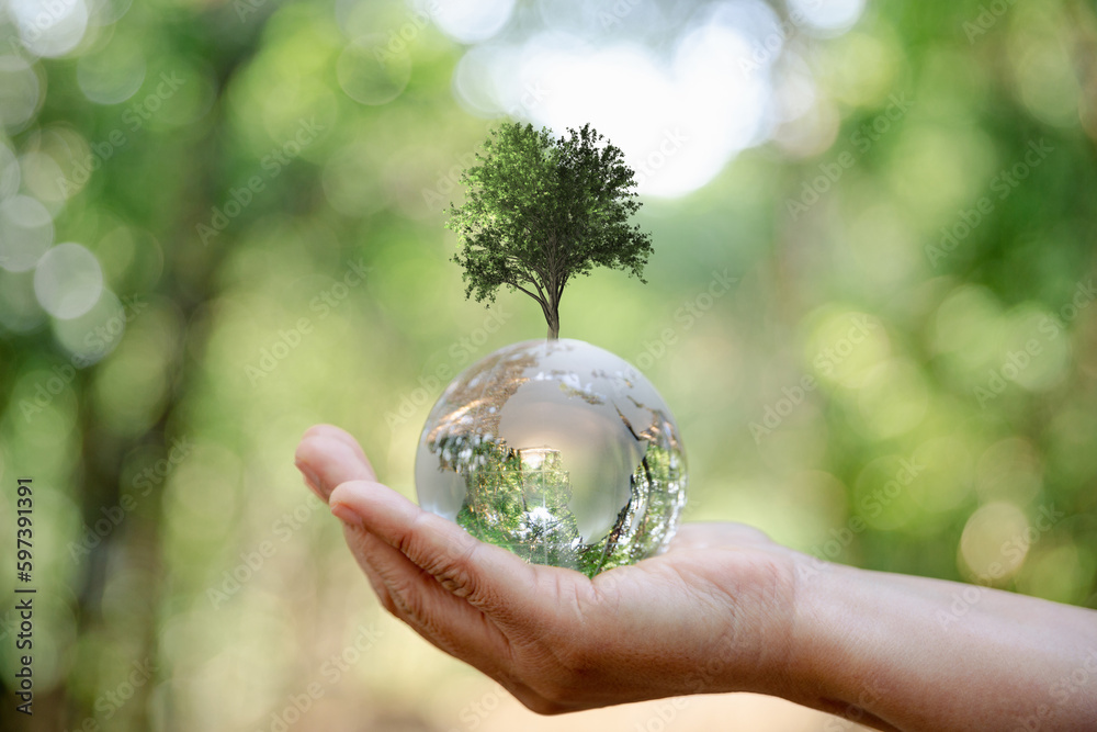 Environment World Earth Day. Earth crystal glass globe and growing tree ...