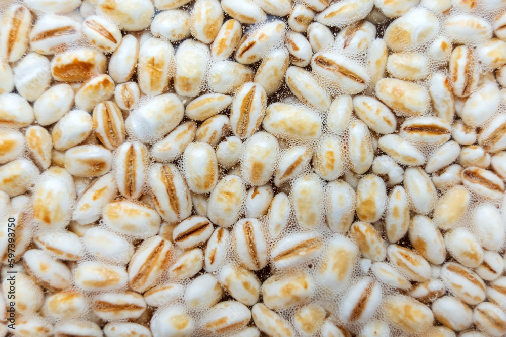 Koji barley, whole grain barley inoculated with spores of Aspergillus ...