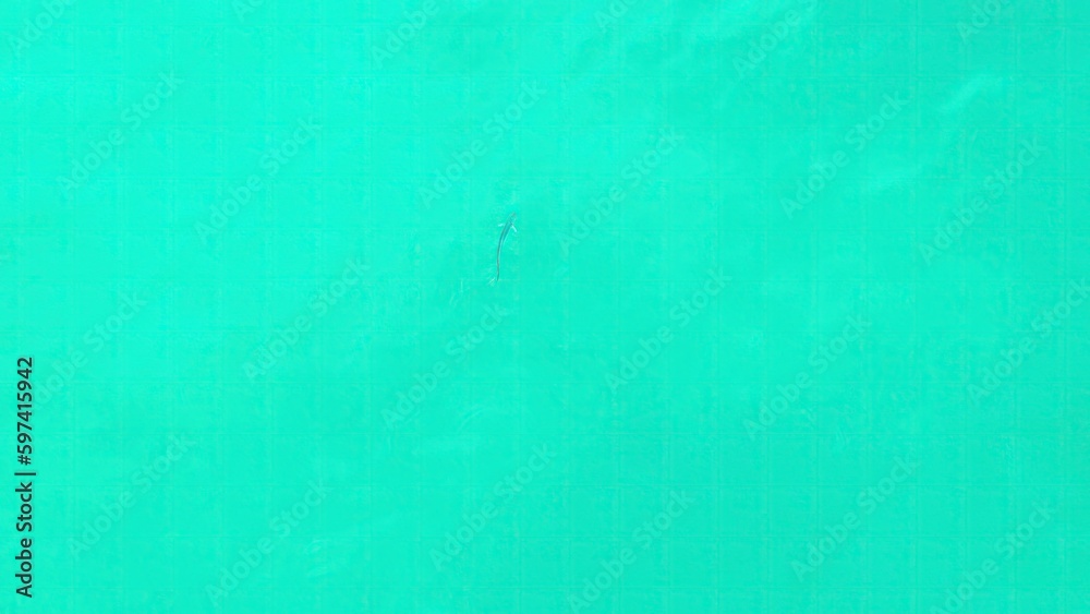PUNTA BUZZARDS EAST CAPE BCS MEXICO-2022: A Shark Swimming In The Clear ...