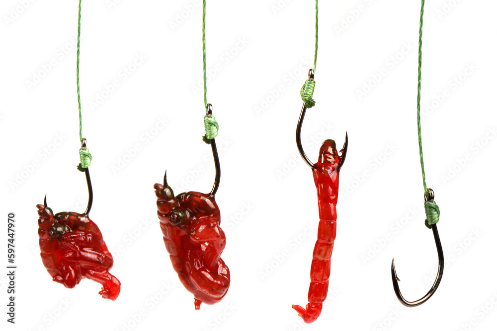 Larvas bloodworm on four hooks, bait for fishing, isolated on white ...