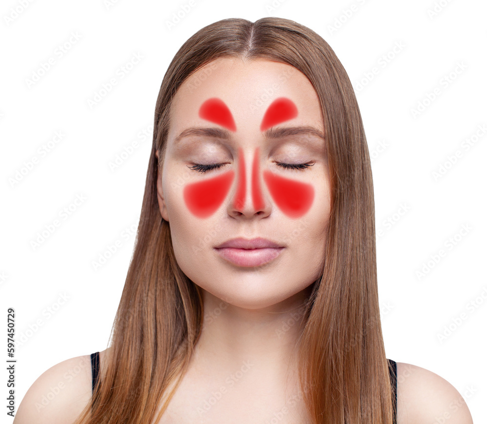 Sinuses Of The Face