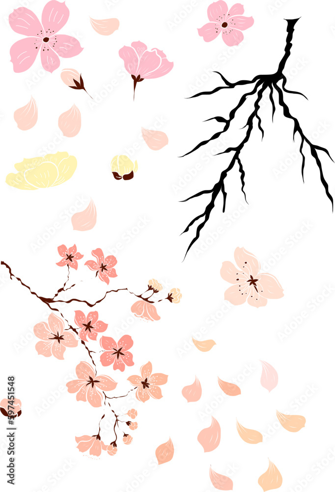 Free hand Sakura flower vector set, Beautiful line art Peach blossom ...