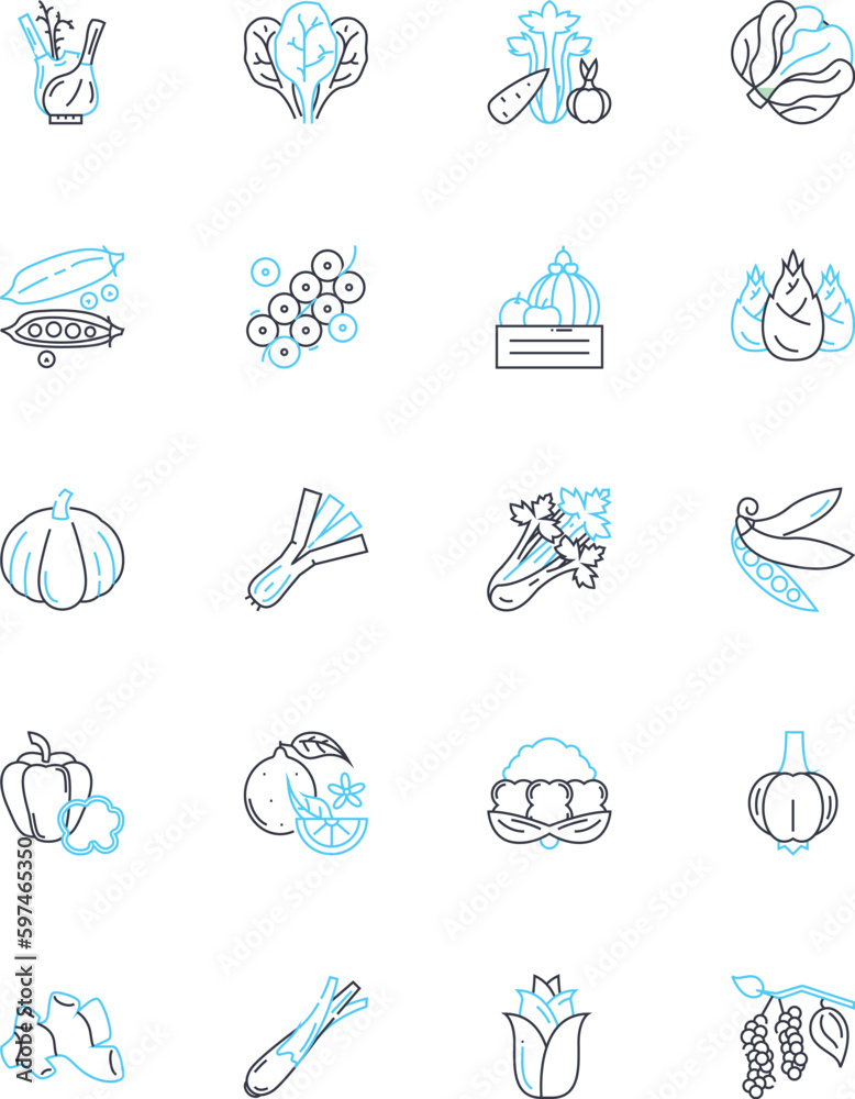 Balanced nutrition linear icons set. Health, Energy, Protein ...