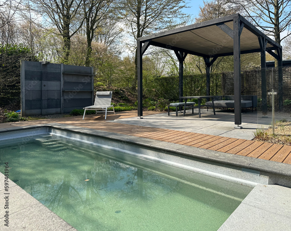 Swimming pool in the garden. Modern terrace with pool, aluminum pergola ...