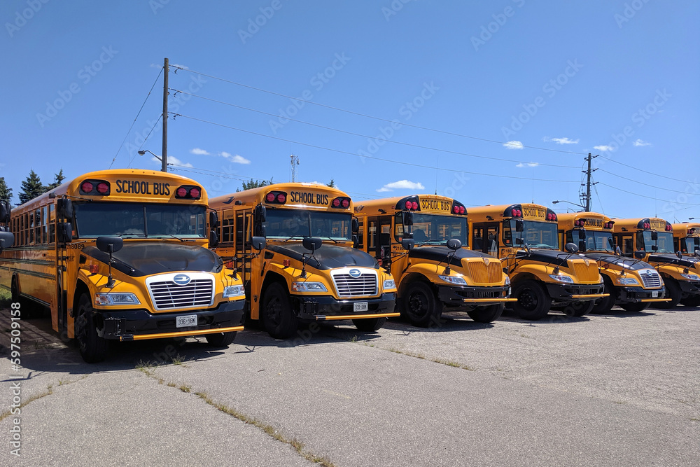 Foto de Row of yellow school buses parked at a large parking lot ...