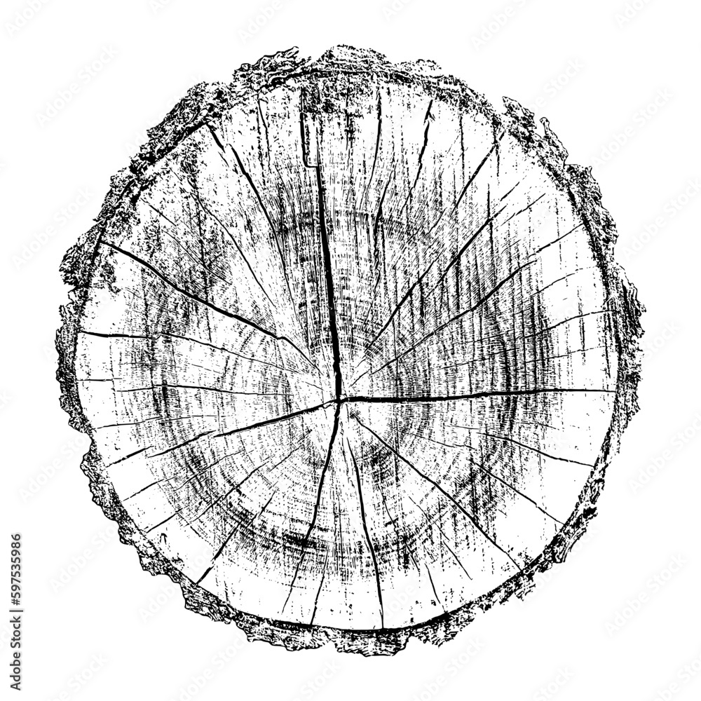 Distressed Wood Texture Vector