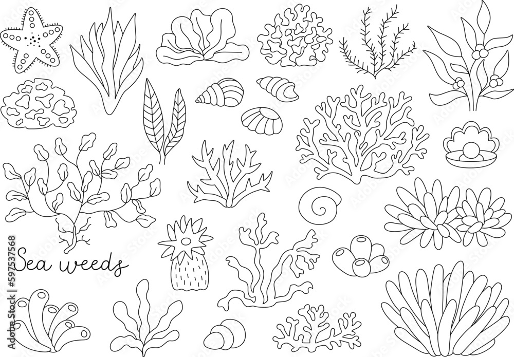 Ocean Plants Coloring Pages