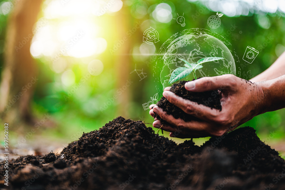 plant, earth, climate change, grow, leaf, eco, environmental, recycle ...