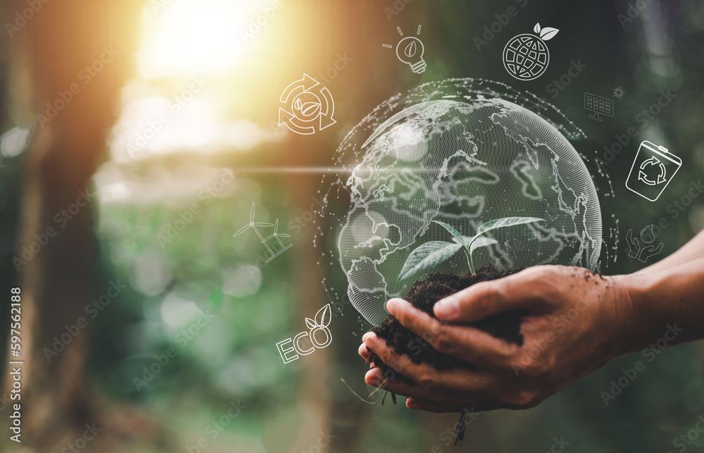 plant, earth, climate change, grow, leaf, eco, environmental, recycle ...