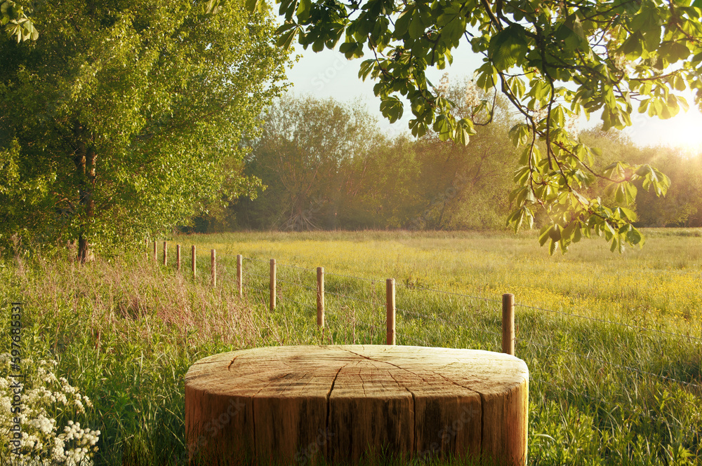 Tree Table wood Podium in the farm, a stand of display for food ...