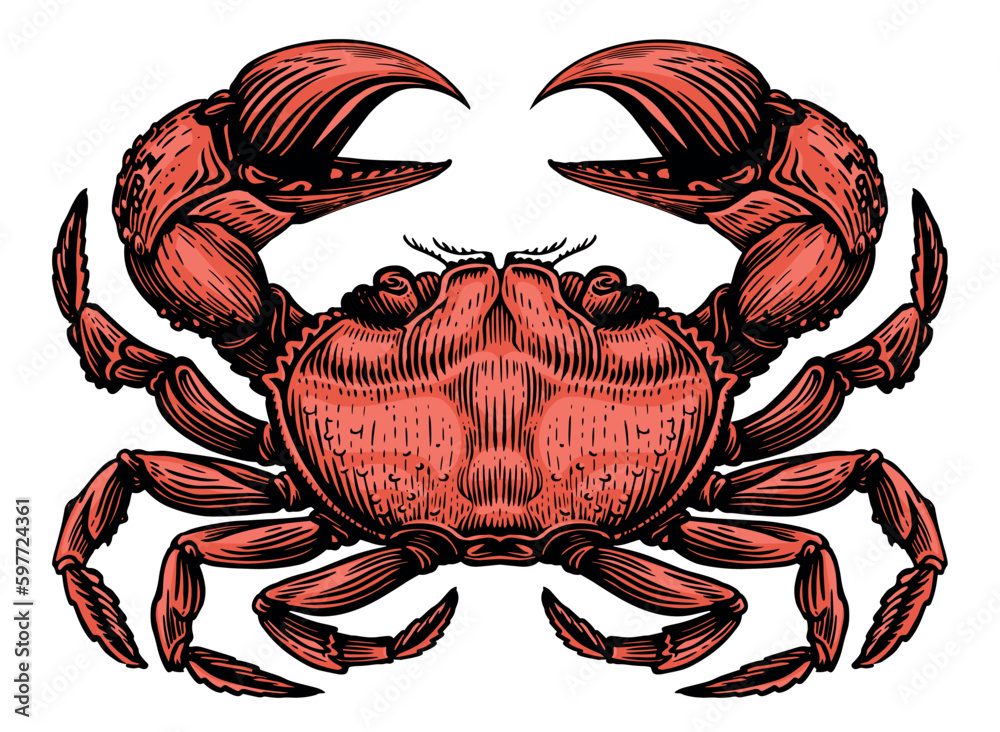 Red crab isolated on white background. Sea animal, seafood vector ...