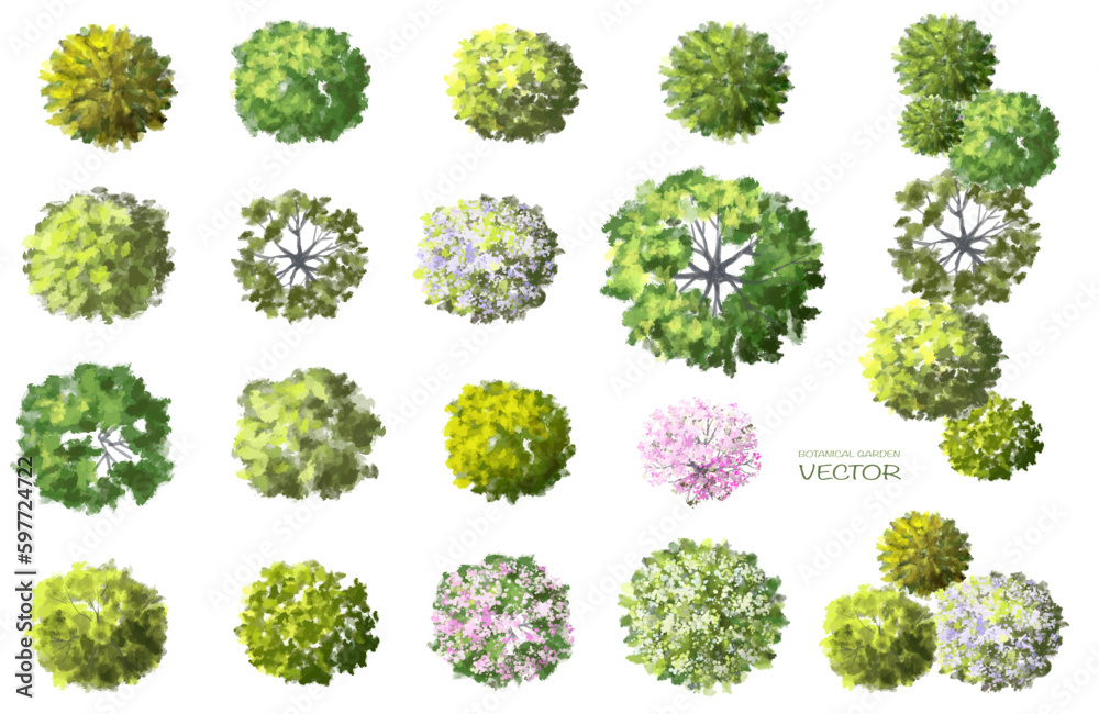 Poster vector watercolor tree top view isolated on white background for ...