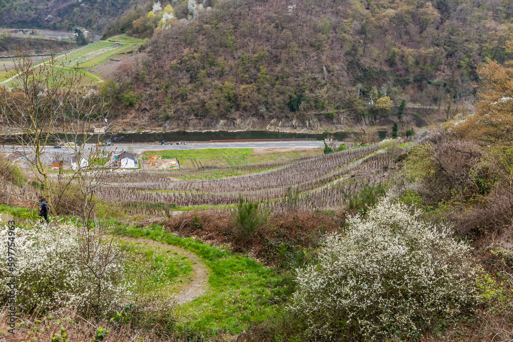 The Ahr region is small but mighty. Named after the river that flows ...