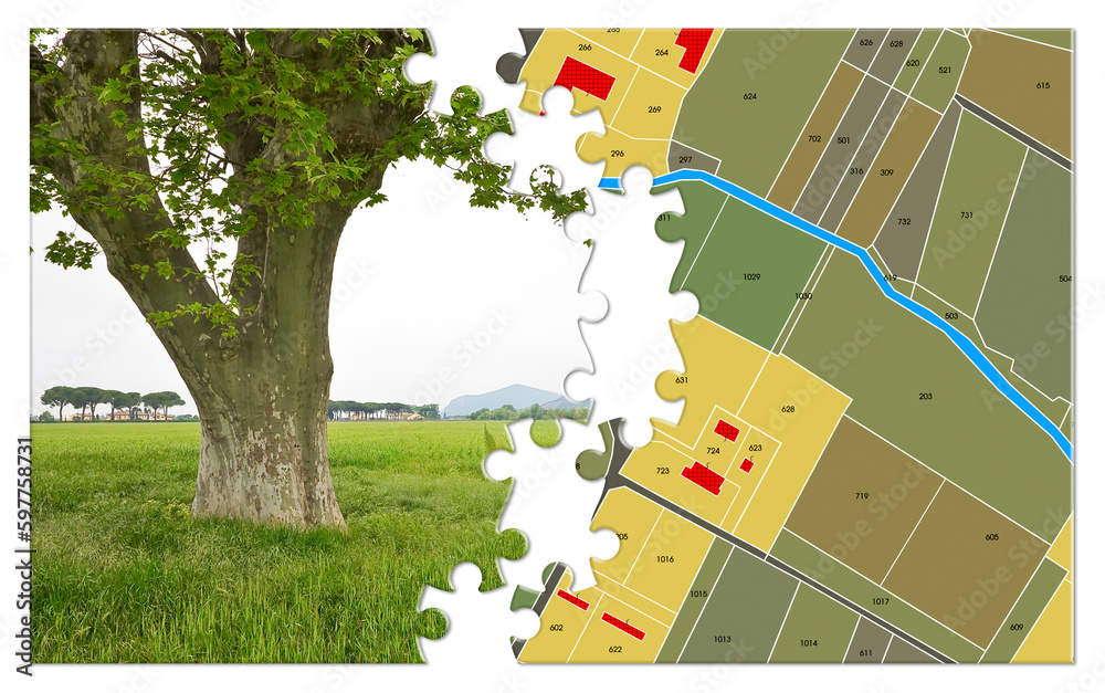 Imaginary land Ccdastral map with lone tree on a rural scene with rural ...