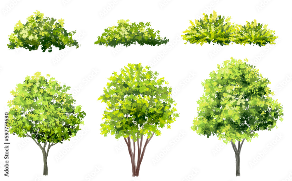 set of green grass, Vector watercolor of tree side view isolated on ...