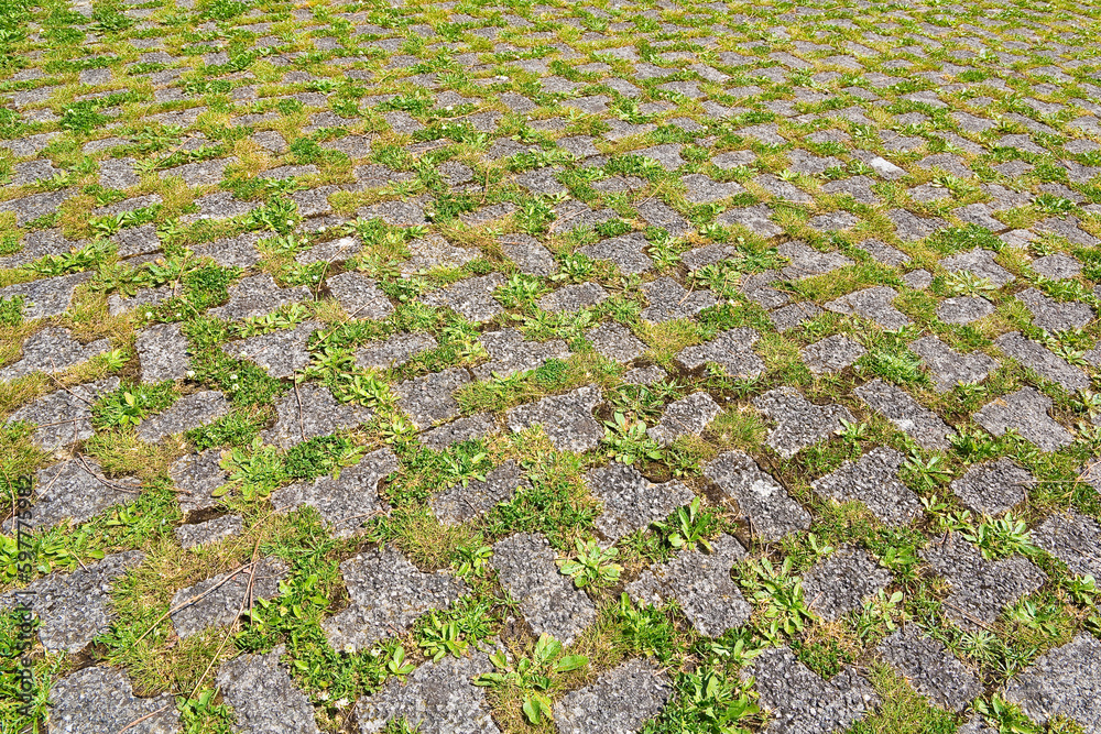 Concrete flooring blocks with grass permeable to rain water as required ...