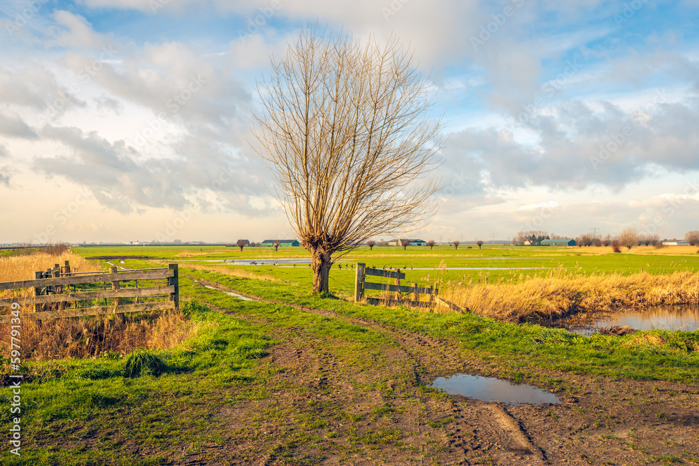 Picturesque image of an open gate in a Dutch polder landscape. Next to ...